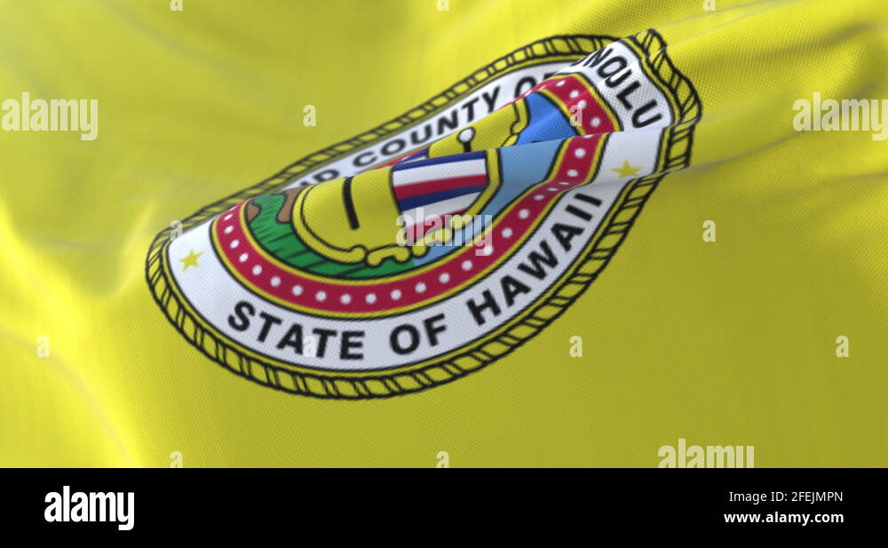 Honolulu city flag Stock Videos & Footage - HD and 4K Video Clips - Alamy