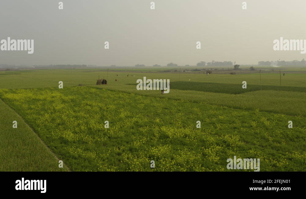 Rural life of bangladesh Stock Videos & Footage - HD and 4K Video Clips ...