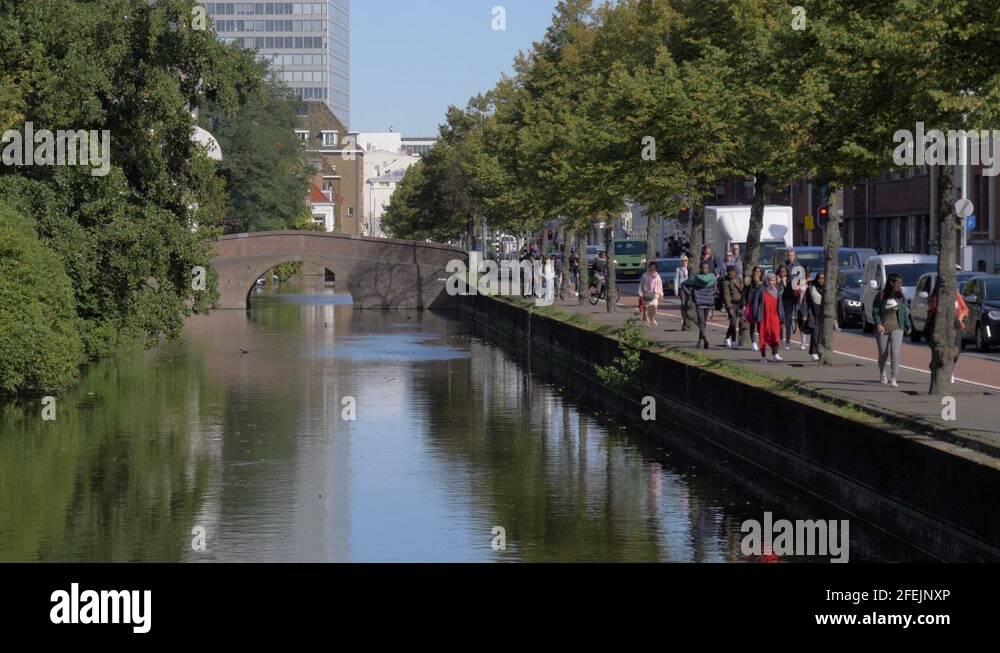 Canal bridge the hague Stock Videos & Footage - HD and 4K Video Clips ...