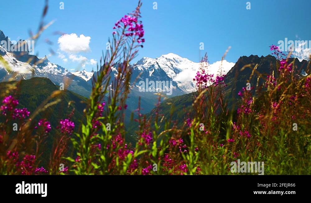 Zoomed shot Stock Videos & Footage - HD and 4K Video Clips - Alamy