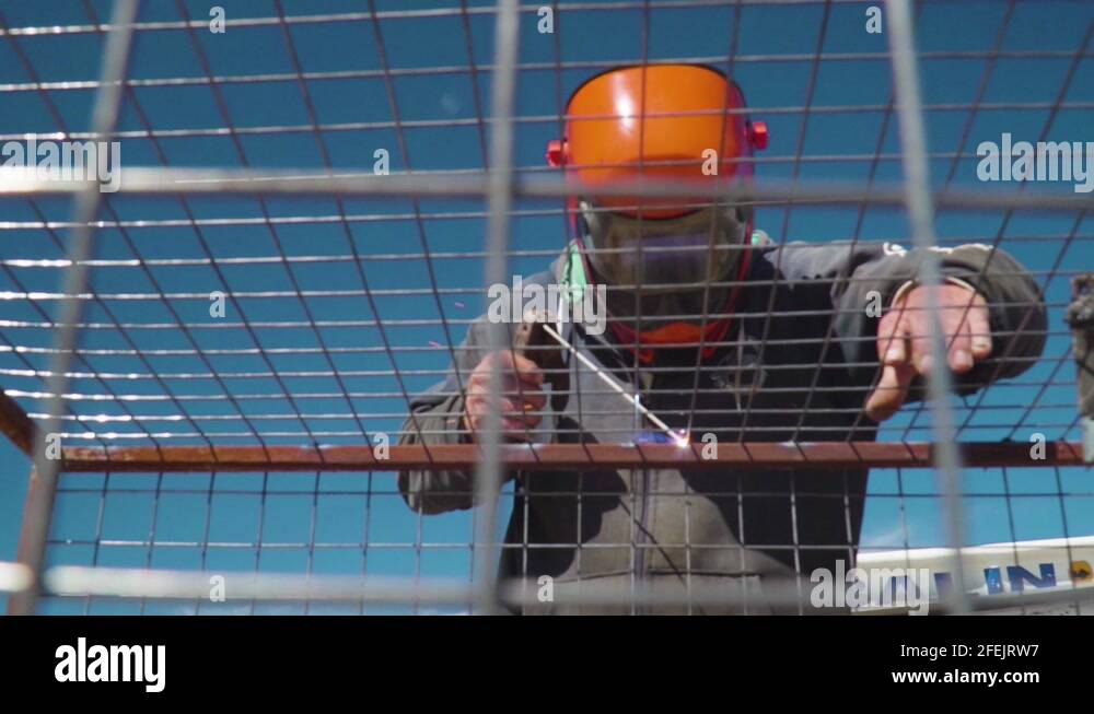 Wire mesh cage Stock Videos & Footage - HD and 4K Video Clips - Alamy