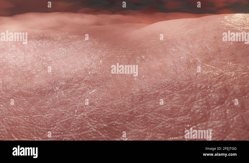 Human skin tissue Stock Videos & Footage - HD and 4K Video Clips - Alamy