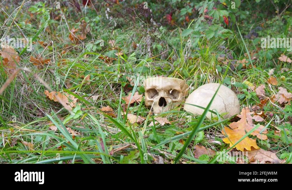 Real scary Haunted house with real human skull at backyard Stock Video ...