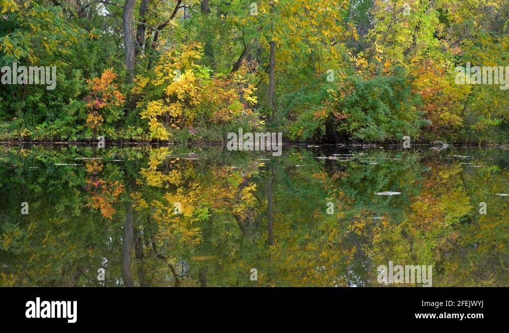 Reflection of fall colors Stock Videos & Footage - HD and 4K Video ...