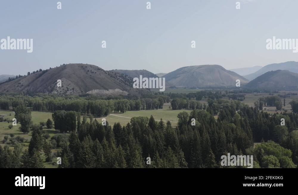 Sandra harrison Stock Videos & Footage - HD and 4K Video Clips - Alamy