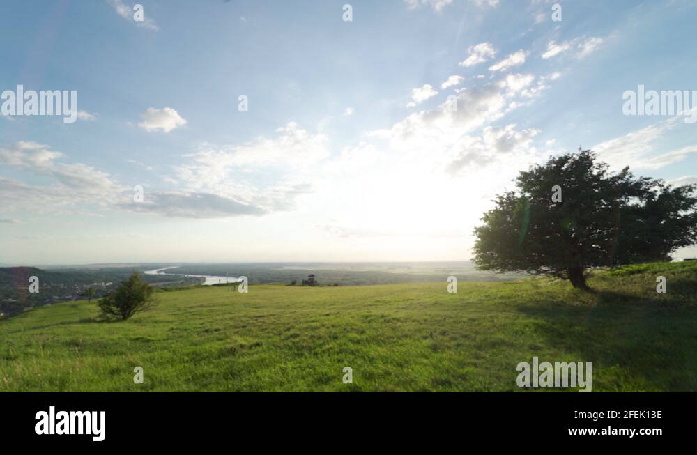 Beautiful tree grass Stock Videos & Footage - HD and 4K Video Clips - Alamy