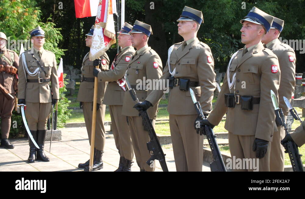Army soldier in parade rest Stock Videos & Footage - HD and 4K Video ...