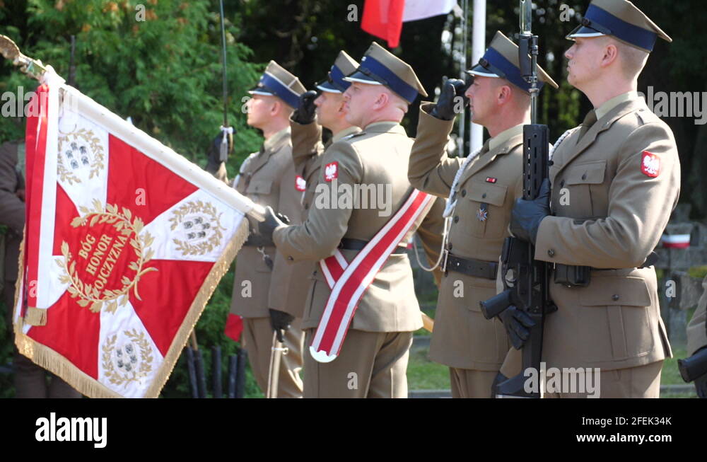 Proper right hand Stock Videos & Footage - HD and 4K Video Clips - Alamy