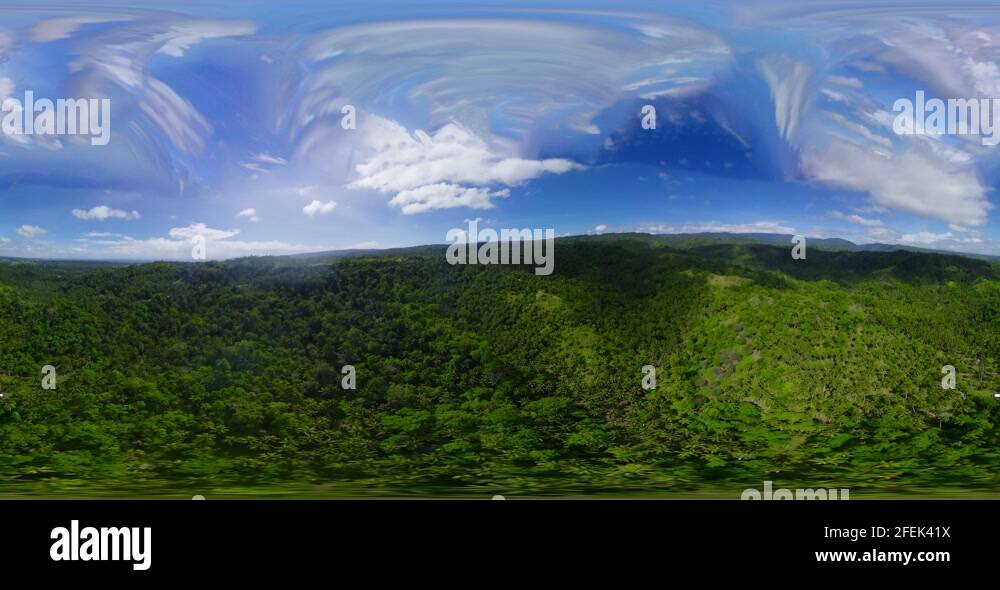 Rainforest in the Philippines. 360-Degree view Stock Video Footage - Alamy