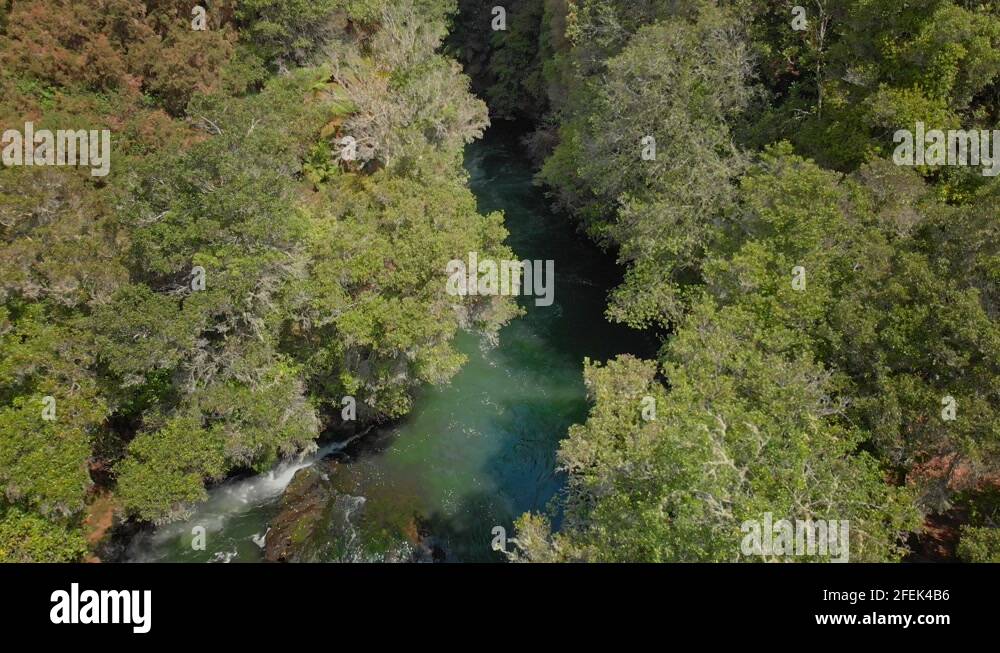 Kaituna river new zealand Stock Videos & Footage - HD and 4K Video ...