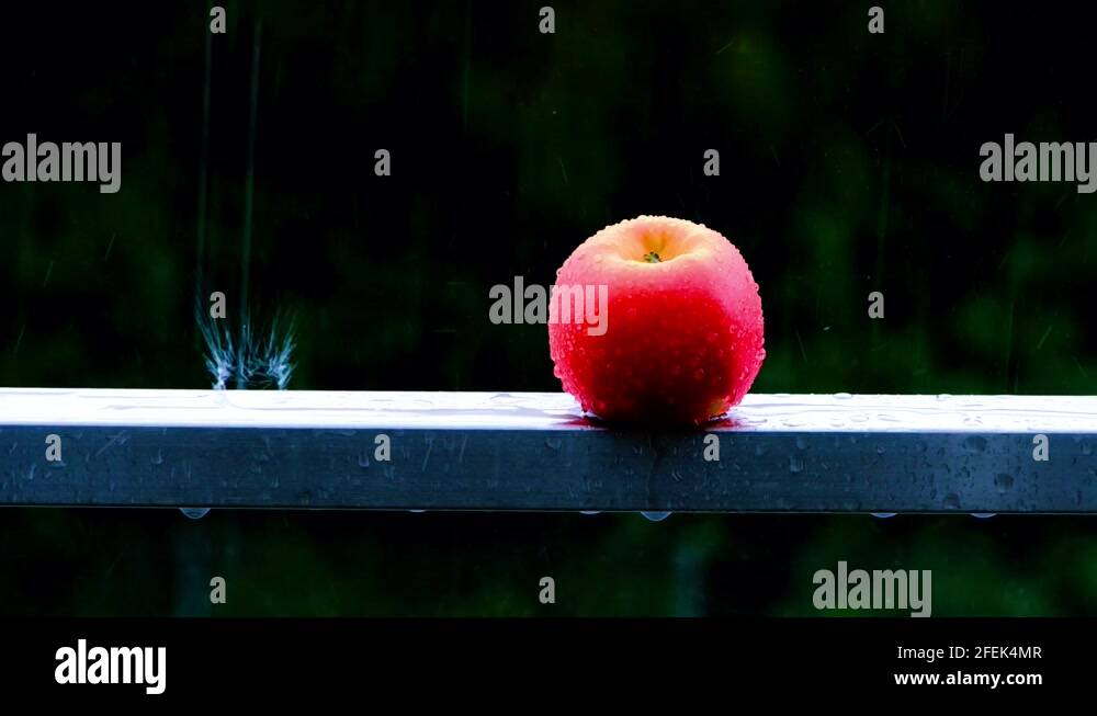Apple fruit nature rain Stock Videos & Footage - HD and 4K Video Clips ...