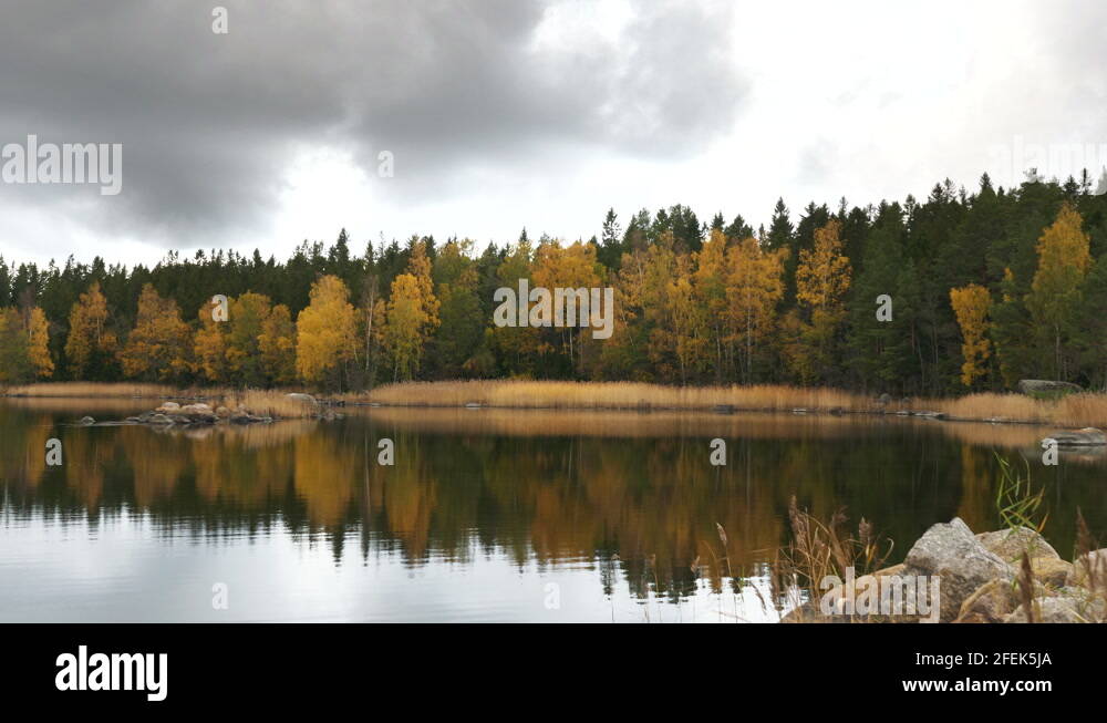 Silent fall Stock Videos & Footage - HD and 4K Video Clips - Alamy