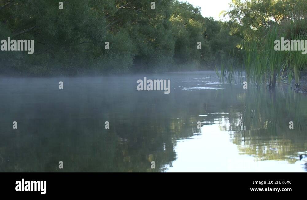 Reflective river Stock Videos & Footage - HD and 4K Video Clips - Alamy
