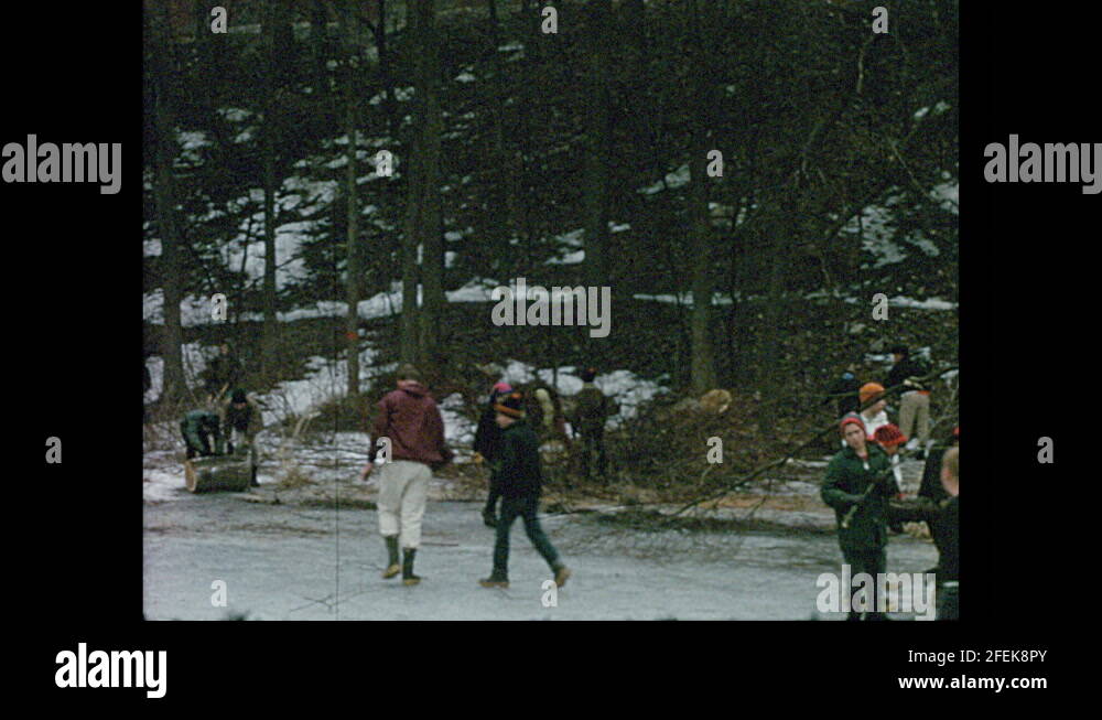 People cutting down trees Stock Videos & Footage - HD and 4K Video ...