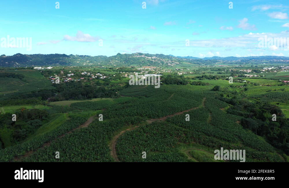 Martinique landscape Stock Videos & Footage - HD and 4K Video Clips - Alamy