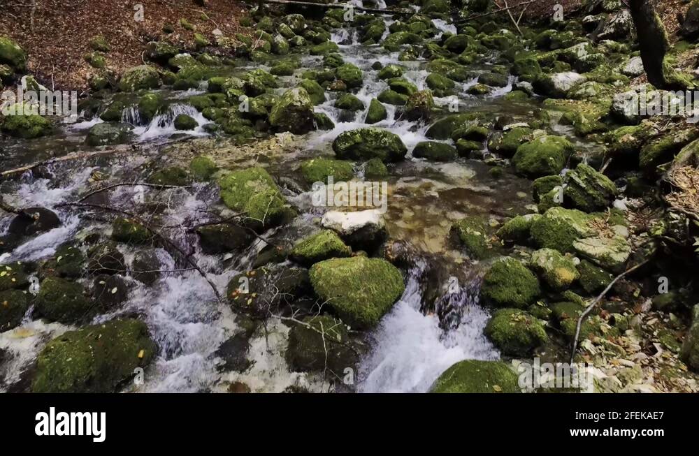 Fairy tale environment Stock Videos & Footage - HD and 4K Video Clips ...