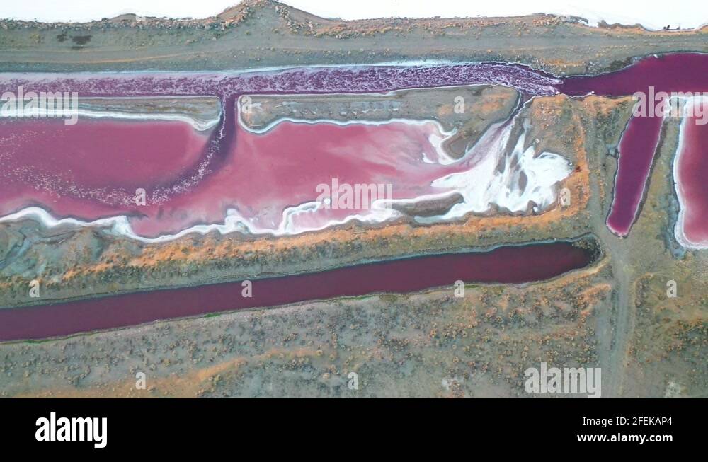 Top ponds Stock Videos & Footage - HD and 4K Video Clips - Alamy