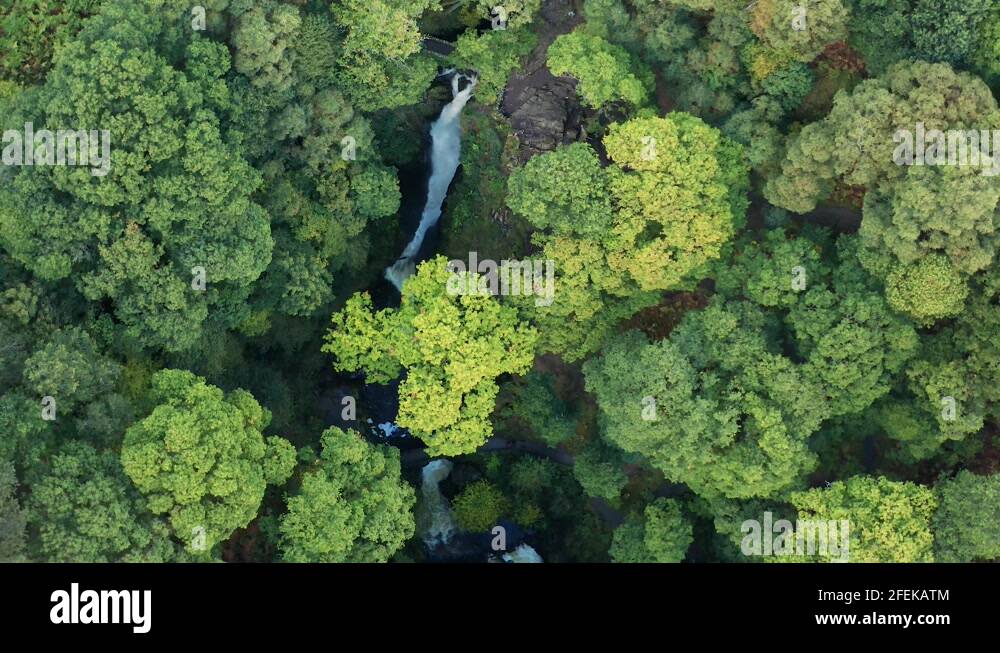 Aira force waterfalls Stock Videos & Footage - HD and 4K Video Clips ...