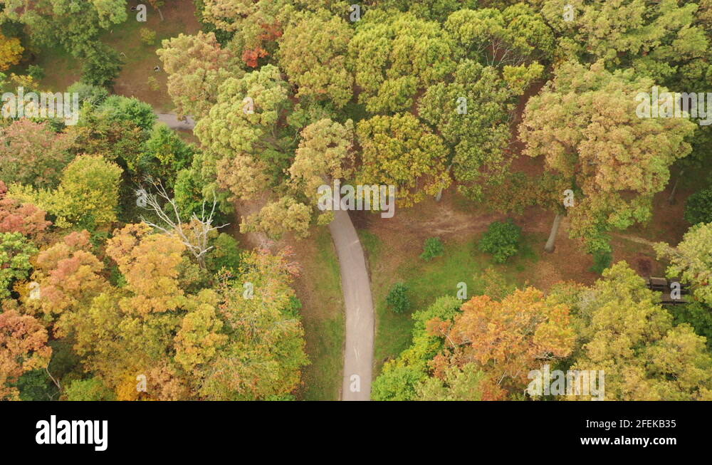 An aerial view of colorful trees in the day. Beneath the trees is a ...