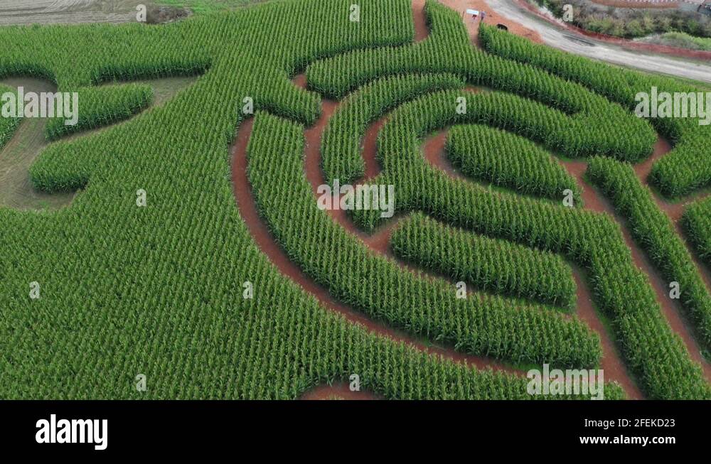 Giant labyrinth Stock Videos & Footage - HD and 4K Video Clips - Alamy