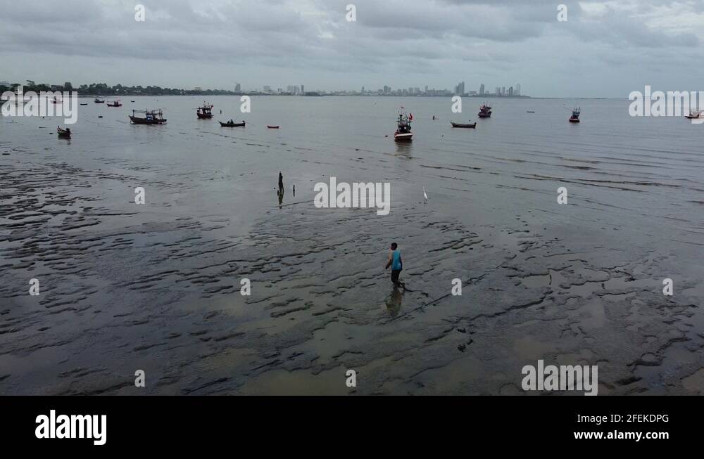 Wading in mud Stock Videos & Footage - HD and 4K Video Clips - Alamy