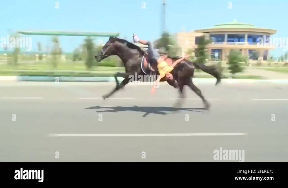 Fast arabian horse Stock Videos & Footage - HD and 4K Video Clips - Alamy