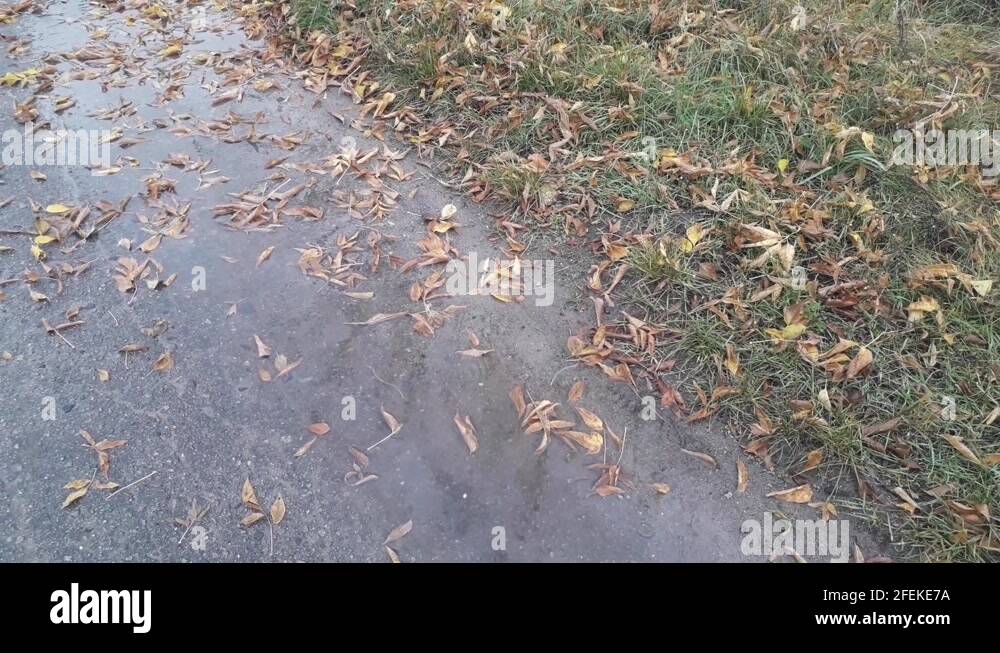 Ground condensation Stock Videos & Footage - HD and 4K Video Clips - Alamy