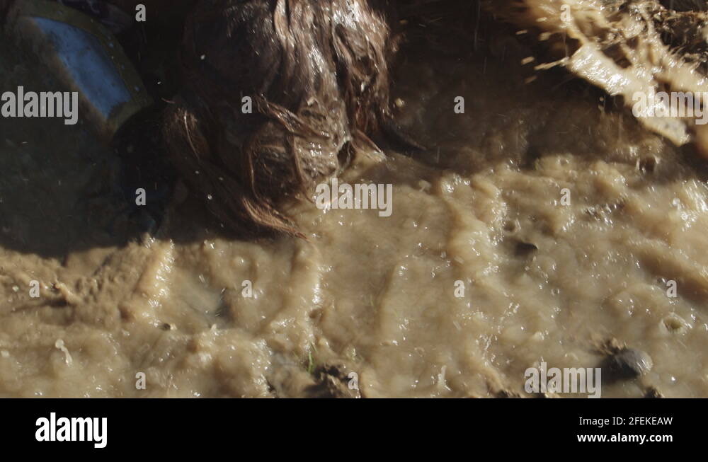 Knight falling Stock Videos & Footage - HD and 4K Video Clips - Alamy