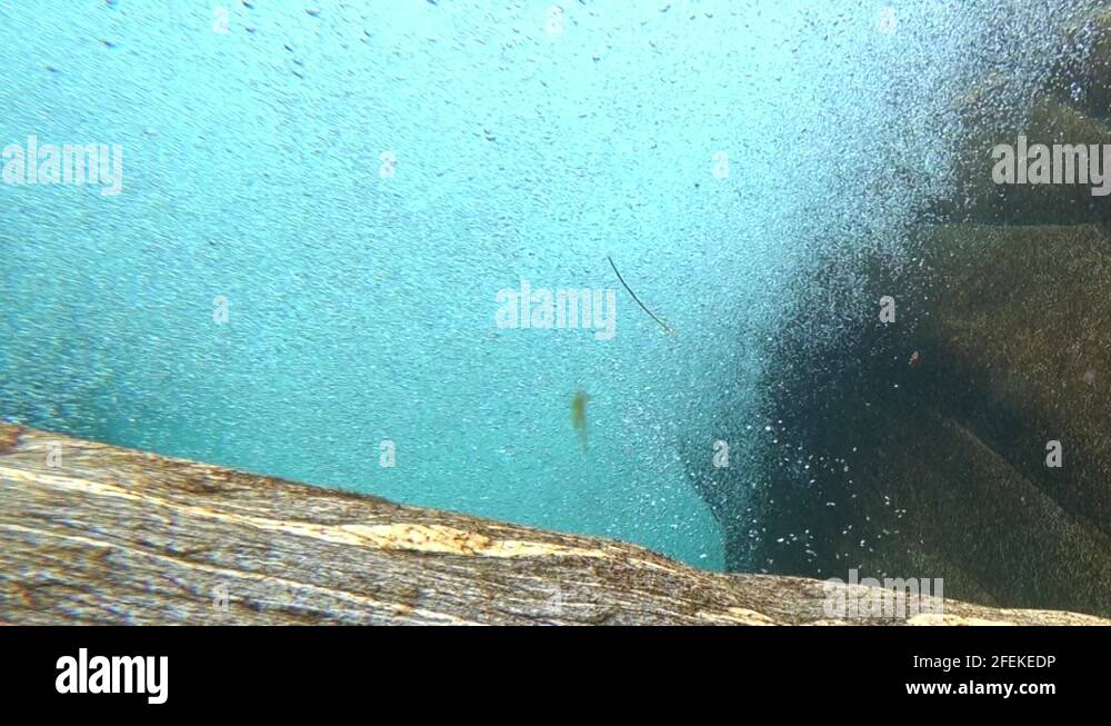 Water churned boils and bubbles underwater of fast flowing waters of ...