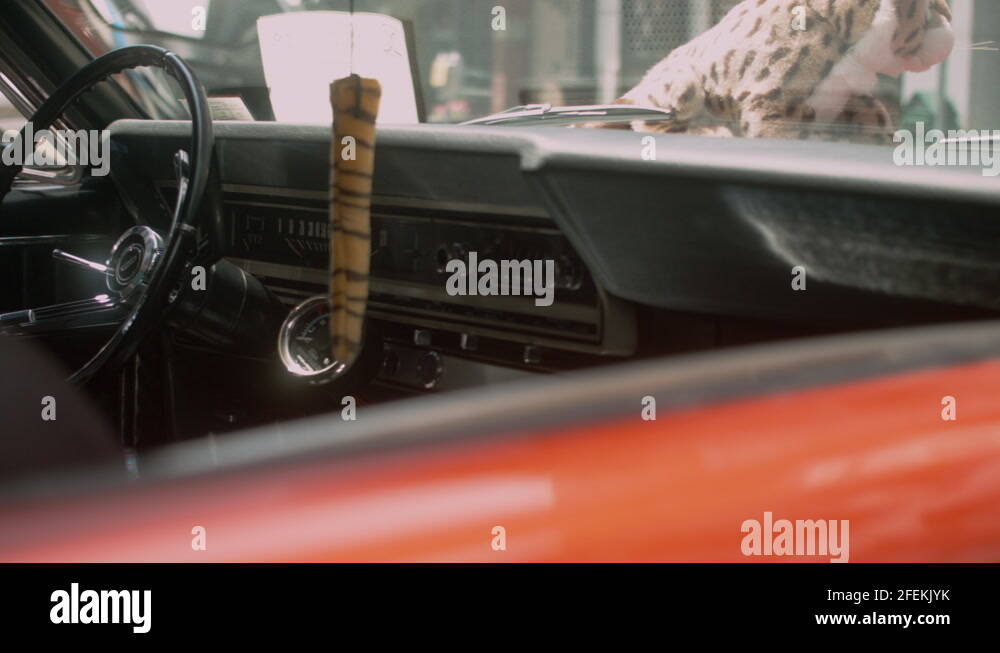 Antique cockpit Stock Videos & Footage - HD and 4K Video Clips - Alamy