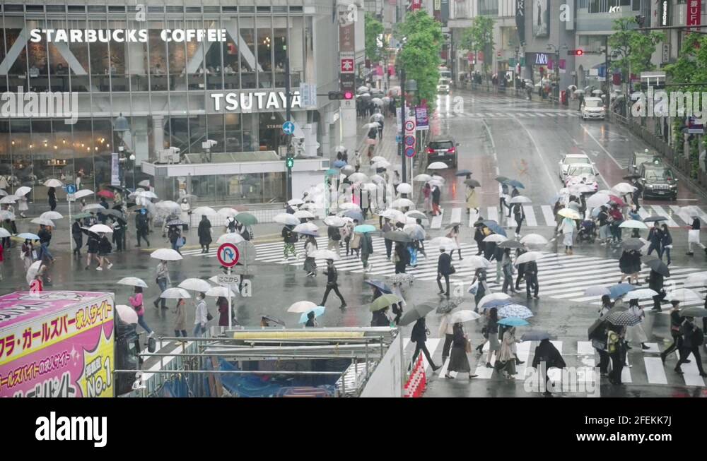 Crowd walking with umbrellas Stock Videos & Footage - HD and 4K Video ...