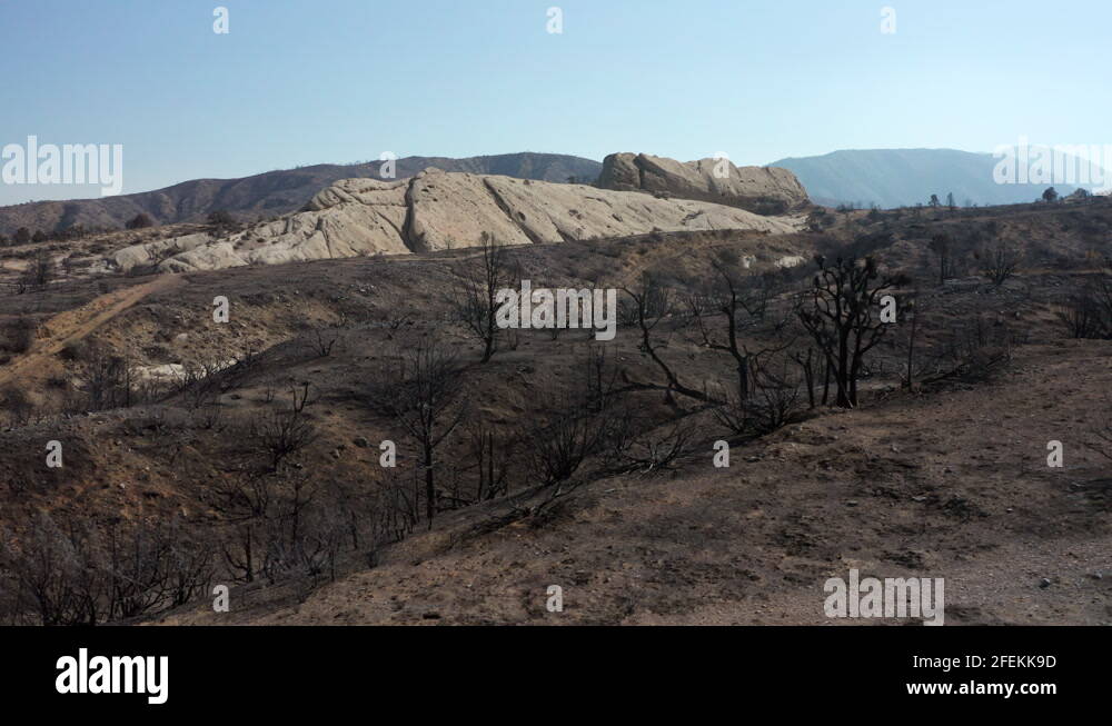 Land recovery Stock Videos & Footage - HD and 4K Video Clips - Alamy