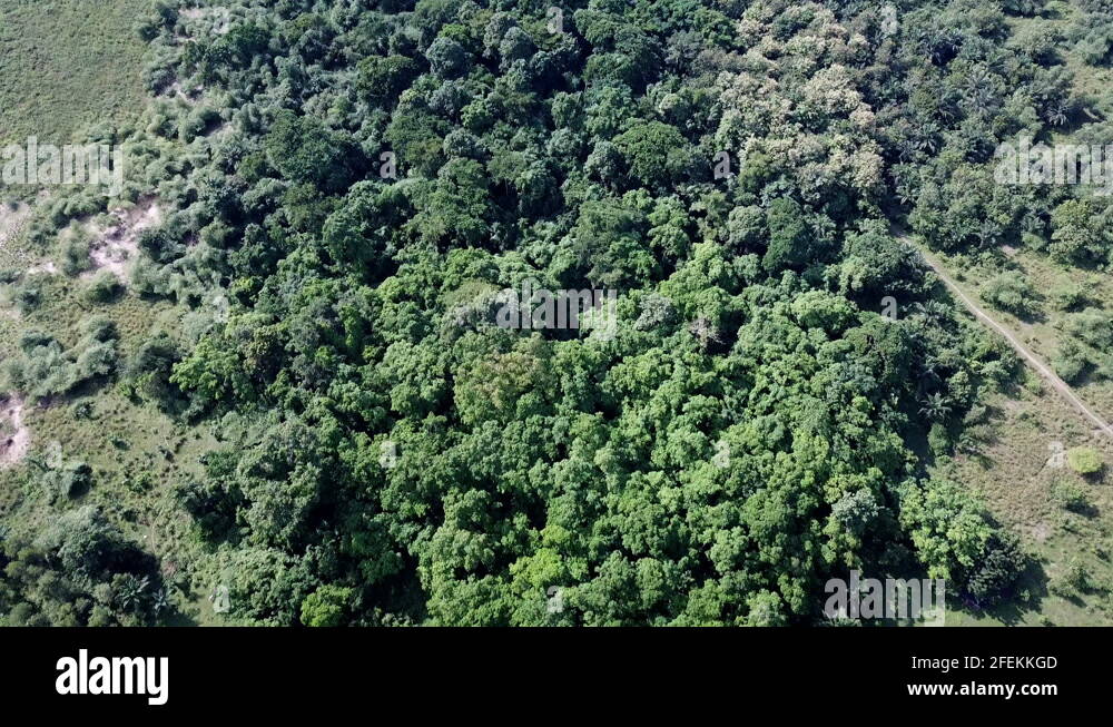 Benin africa forest Stock Videos & Footage - HD and 4K Video Clips - Alamy
