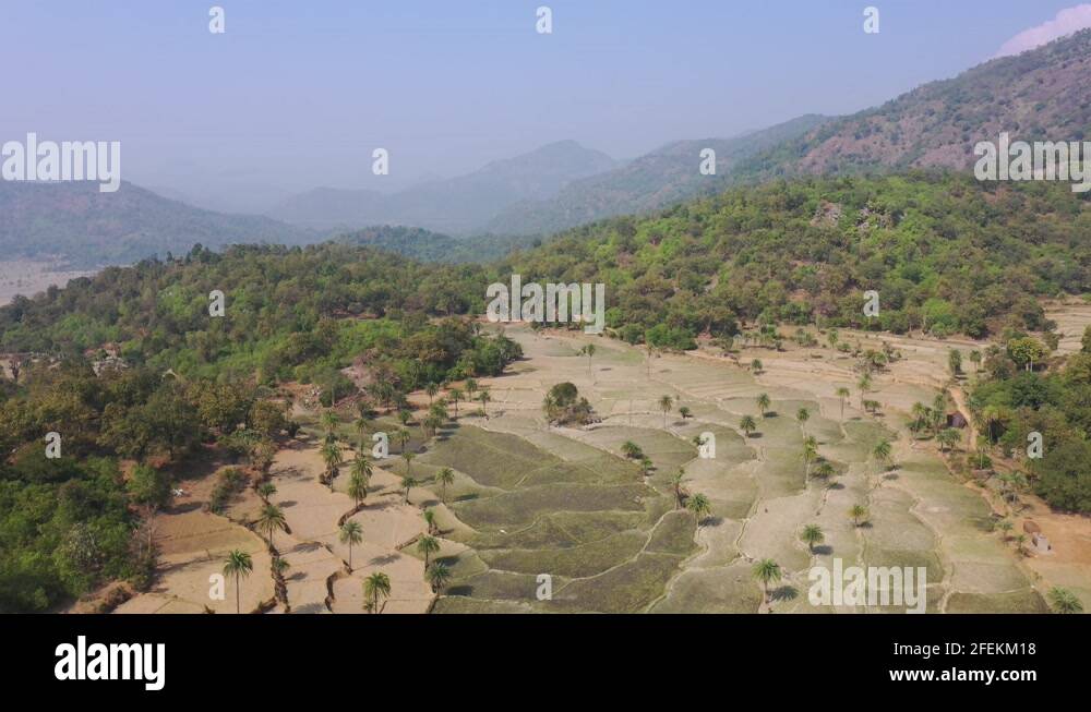 Step cultivation mountain Stock Videos & Footage - HD and 4K Video ...