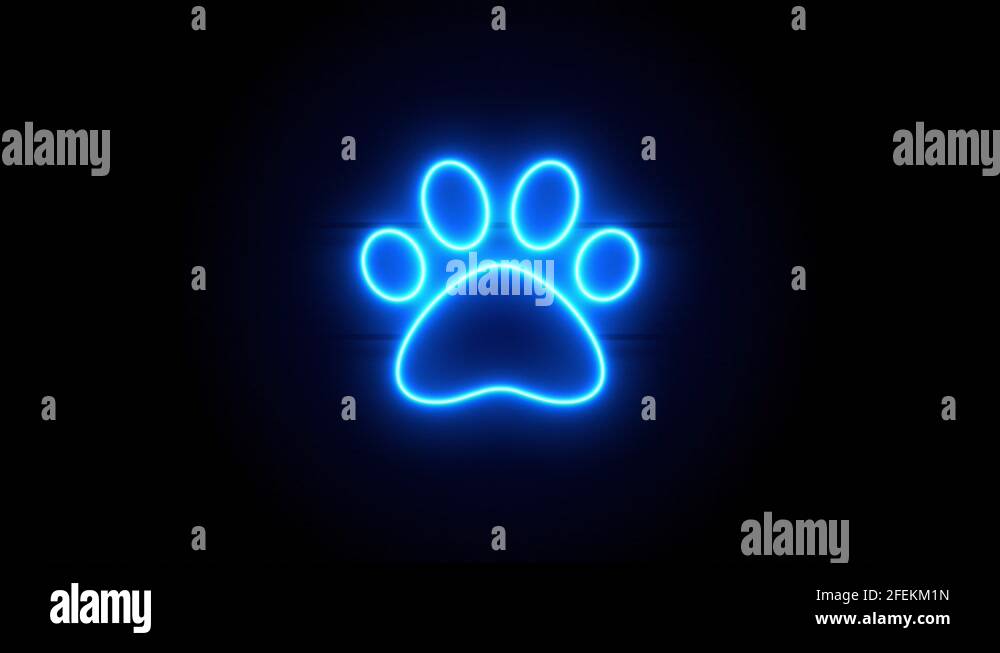 Paw sign Stock Videos & Footage - HD and 4K Video Clips - Alamy