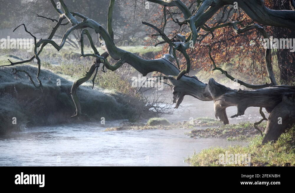 River arrow Stock Videos & Footage - HD and 4K Video Clips - Alamy