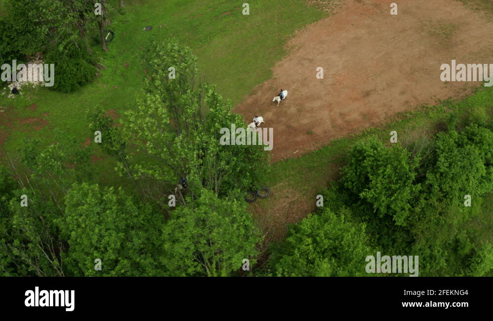 Woodlands trek Stock Videos & Footage - HD and 4K Video Clips - Alamy