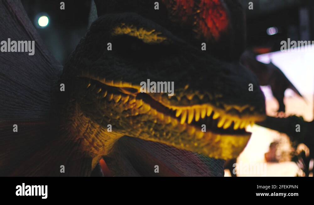 Close up giant predator dilophosaurus dinosaurus with sharp teeth Stock ...