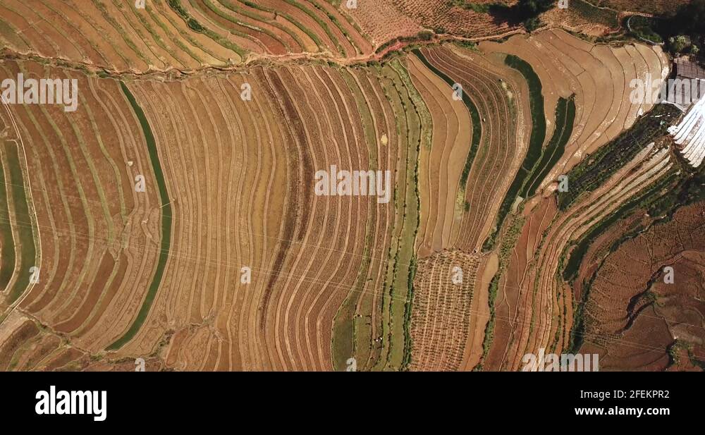 Sa pa rice terrace Stock Videos & Footage - HD and 4K Video Clips - Alamy