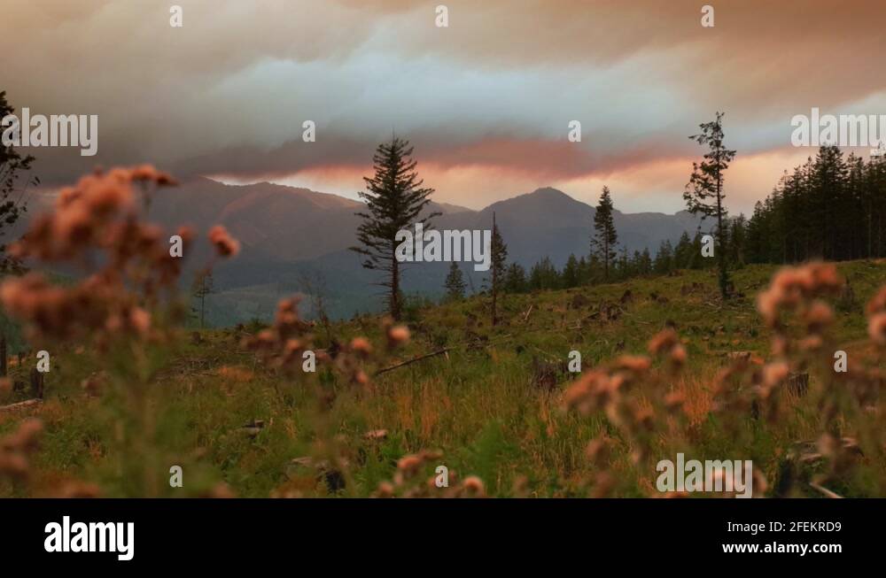 Wildfire smoke landscape Stock Videos & Footage - HD and 4K Video Clips ...