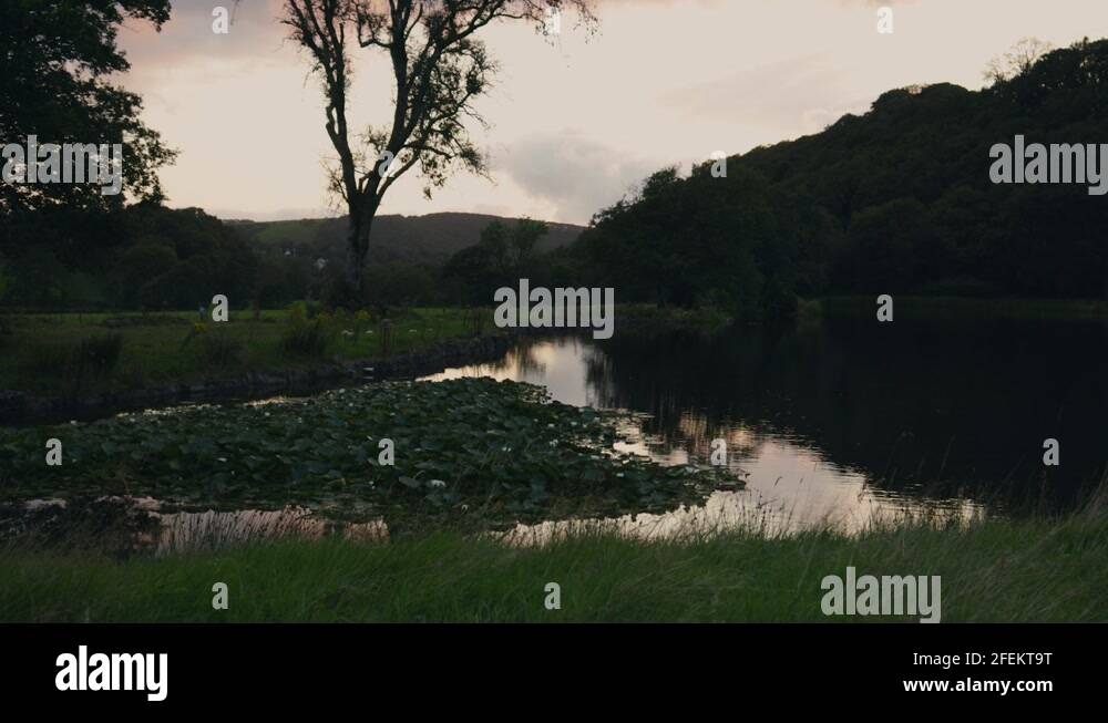 Reflection off the water Stock Videos & Footage - HD and 4K Video Clips ...