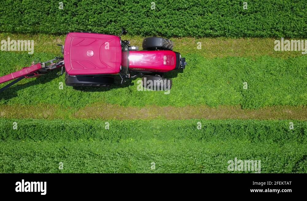 Red Tractor Cutting Grass Field From Left To Right, Directly Above ...
