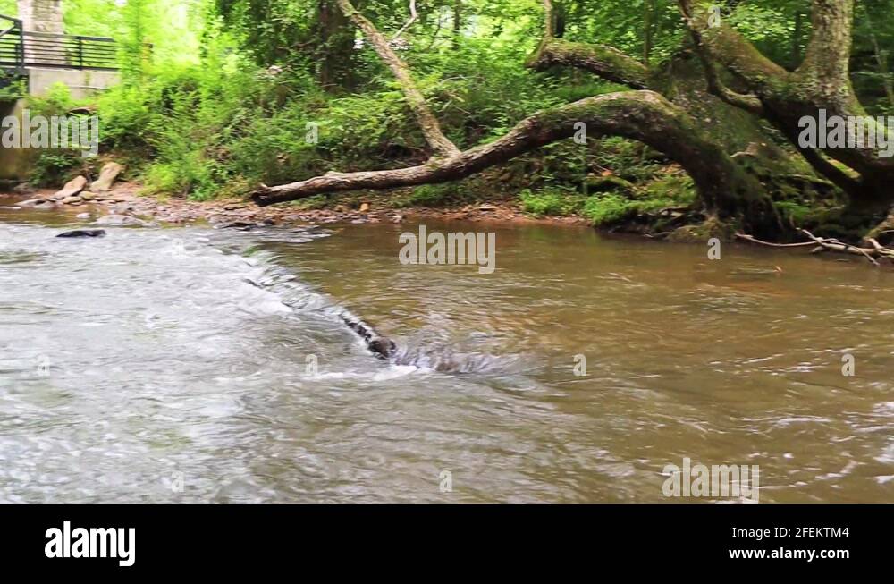 Helen georgia architecture Stock Videos & Footage - HD and 4K Video ...