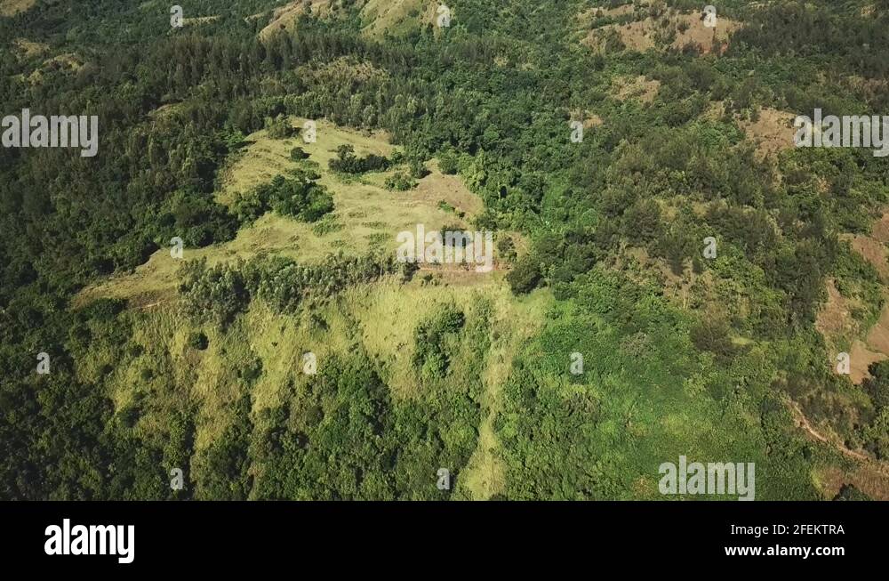 Reforestation area Stock Videos & Footage - HD and 4K Video Clips - Alamy