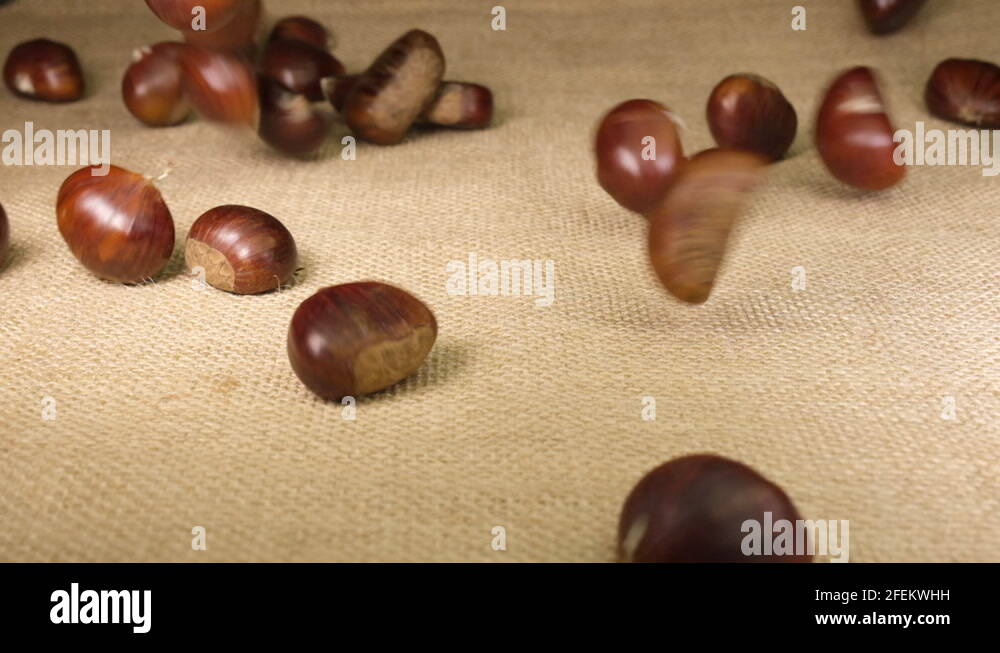 Jute seed Stock Videos & Footage - HD and 4K Video Clips - Alamy