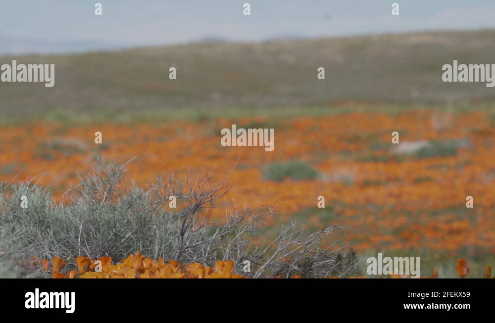 Rolling valley terrain Stock Videos & Footage - HD and 4K Video Clips ...