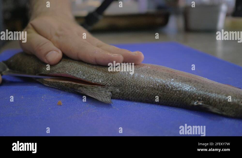 Back fillet Stock Videos & Footage - HD and 4K Video Clips - Alamy
