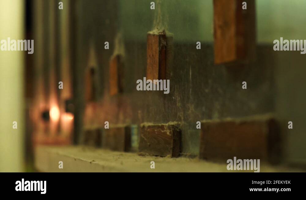 Spider webbed Stock Videos & Footage - HD and 4K Video Clips - Alamy