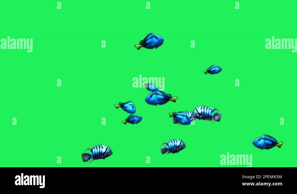 Blue green fish cartoon illustration Stock Videos & Footage - HD and 4K ...