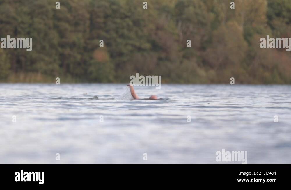 Relaxed pace Stock Videos & Footage - HD and 4K Video Clips - Alamy